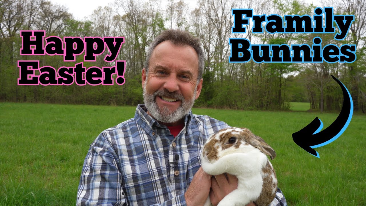 Meet The FRAMILY Easter Bunnies! | Elvis Approves! | Springtime Fun ...