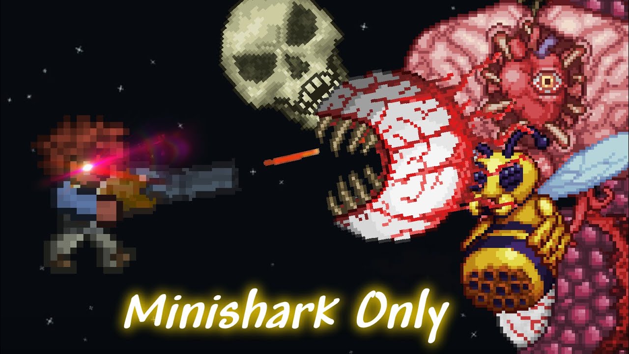 beating terraria hardcore with a minishark (Part 1) - YouTube
