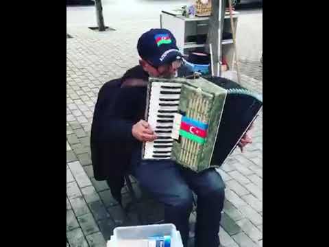 Xudayar Təsnifi Eldar Akkordeon-da ifa. Xalqlar dostluqu
