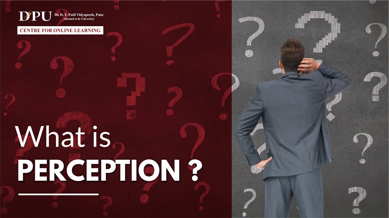 What is Perception? | MBA - Organizational Behavior - YouTube
