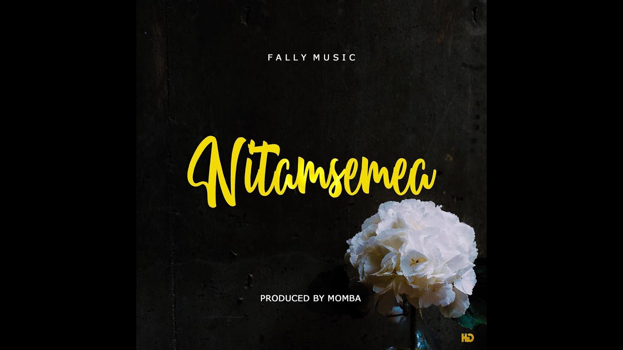 Fally Music - Nitamsemea (official music audio) - YouTube