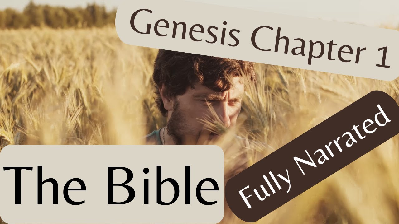 Genesis Chapter One-The Holy Bible Daily Reading | Jesus, God, Bible ...