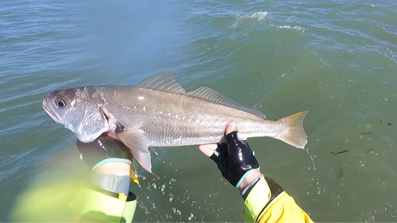 SWIMMING produces the FISH!! #fishing #fishingvideo - YouTube