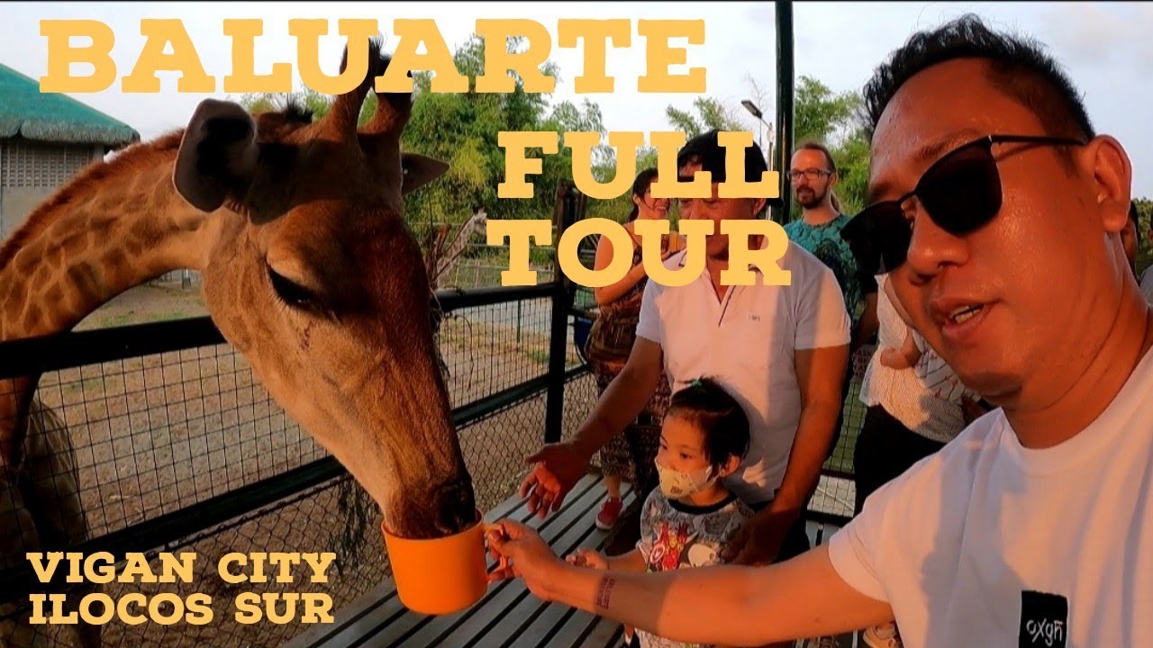 Tour Around Baluarte + Safari Gallery + feeding Giraffe at Vigan City ...