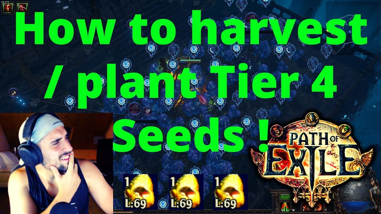 [Beginner's Guide] How to plant / harvest Tier 4 Seeds on POE ! - YouTube
