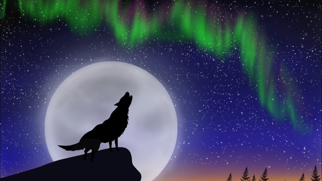 Drawing Aurora Scenery with Wolf Howling Using IbisPaint X - YouTube