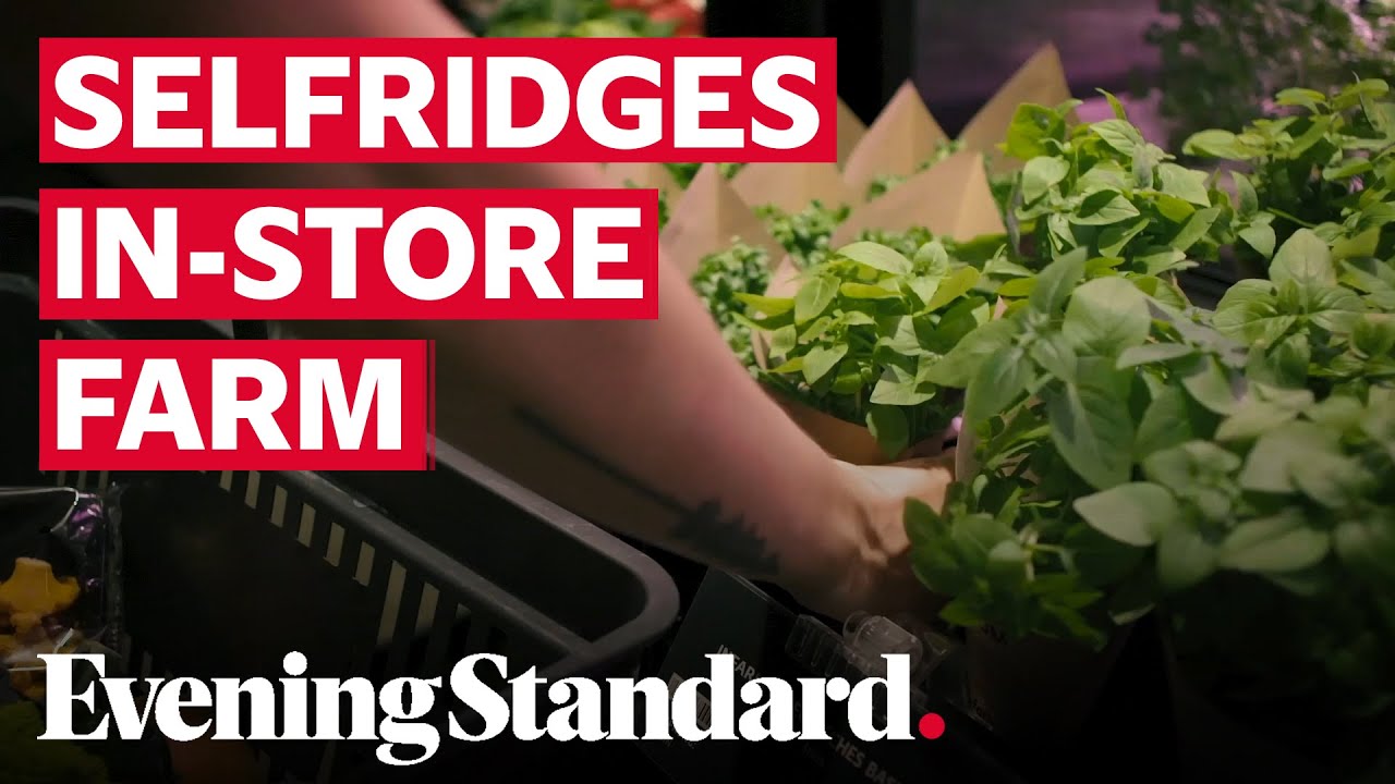 Londons' Selfridges stores to grow fresh produce with vertical farming ...