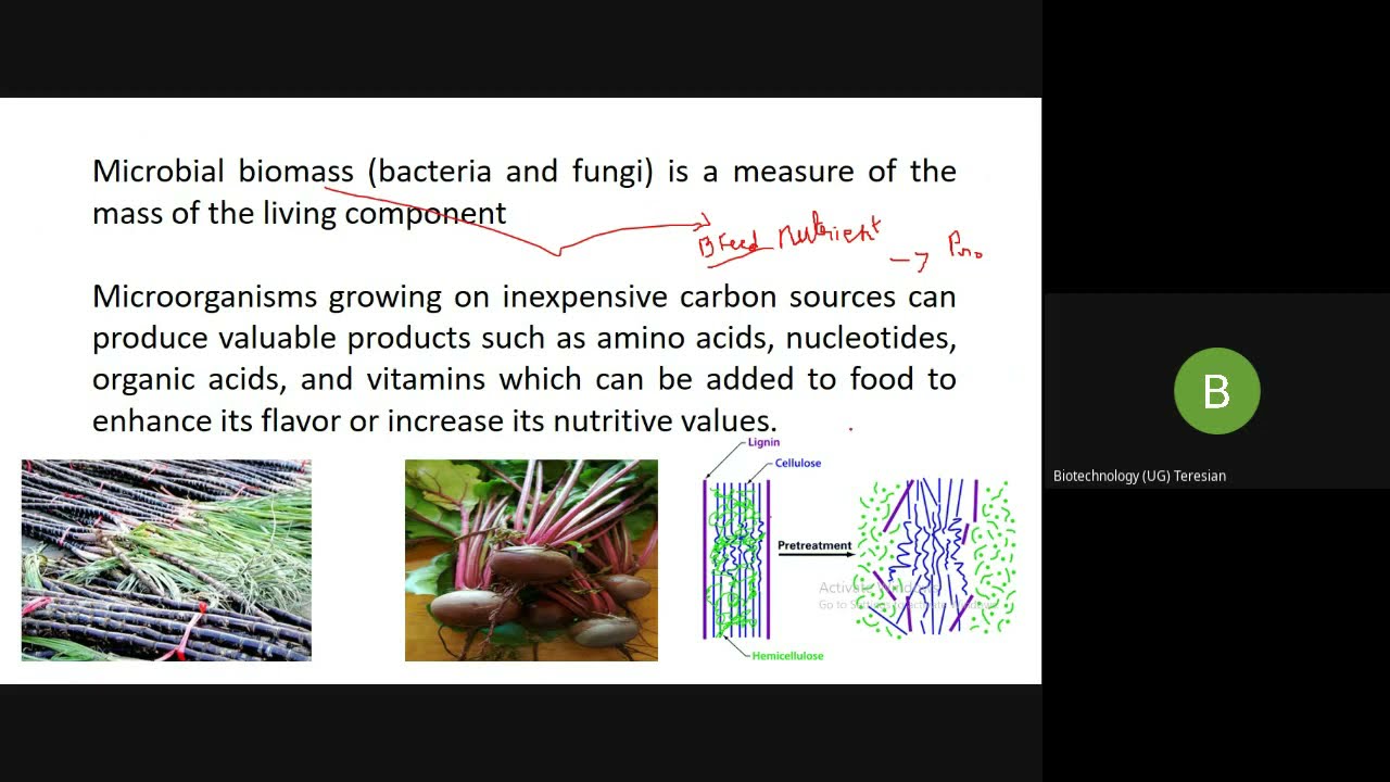 microbial biomass production I (SCP) - YouTube
