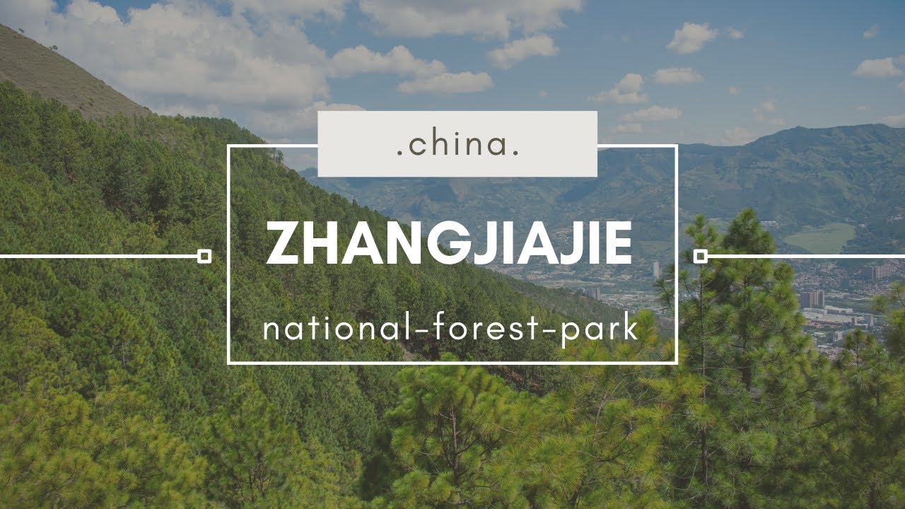 Exploring CHINA'S REAL LIFE Pandora in Zhangjiajie National Forest Park ...