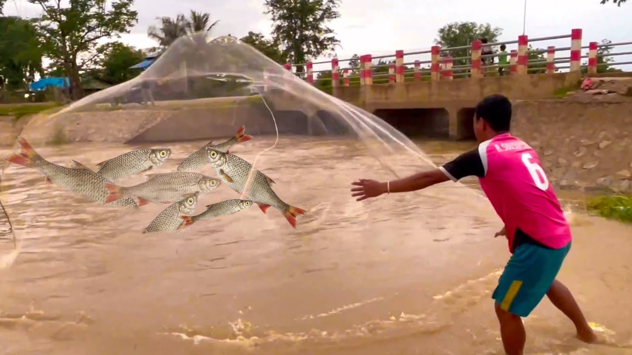 Fisherman Cast Net Fishing Real Life Amazing Fishing At Countryside ...