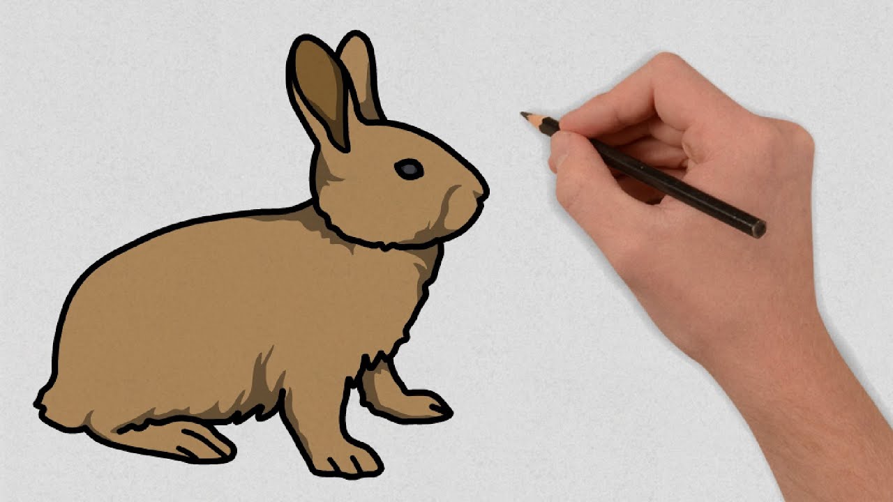 How to draw a Rabbit Step by Step | Easy Rabbit Drawing Lesson | Rabbit ...