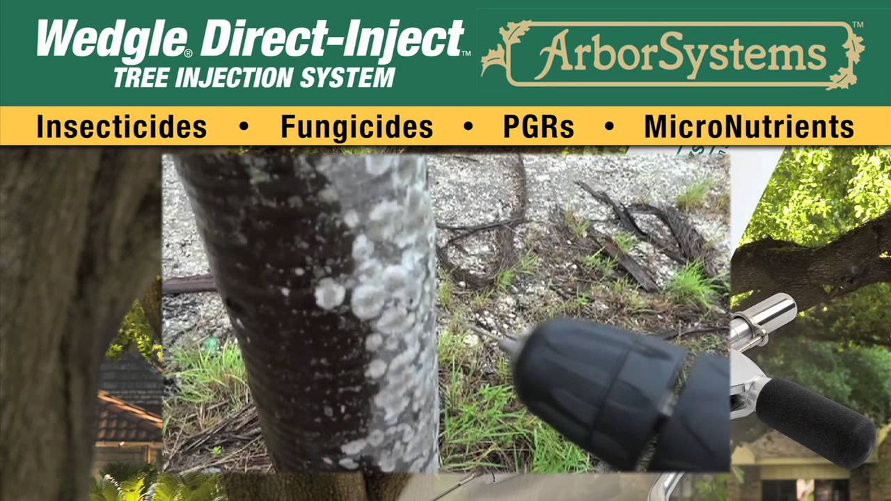 Injecting Palms - YouTube