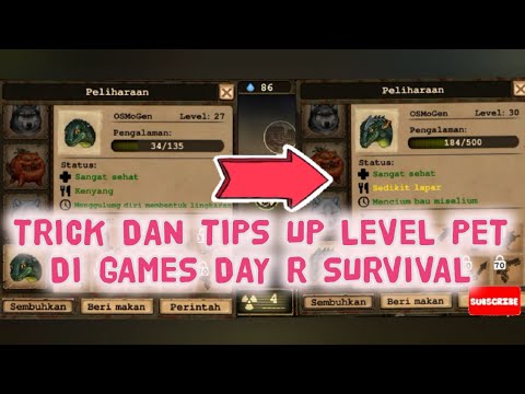 TRICK DAN TIPS UP LEVEL PET DI GAMES DAY R SURVIVAL 2024 - YouTube