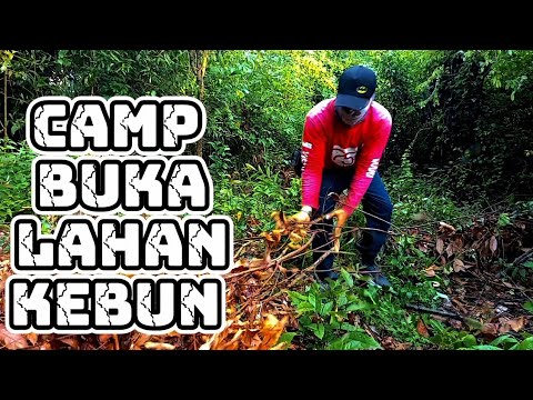 Camping sambil buka lahan baru untuk berkebun - YouTube