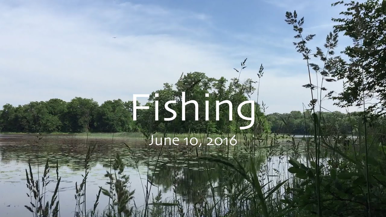 Fishing for Anything - YouTube