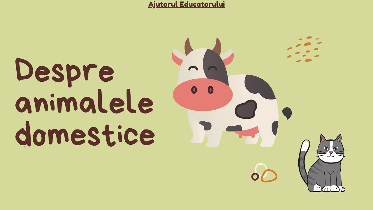 Despre animalele domestice prezentare PPT - YouTube