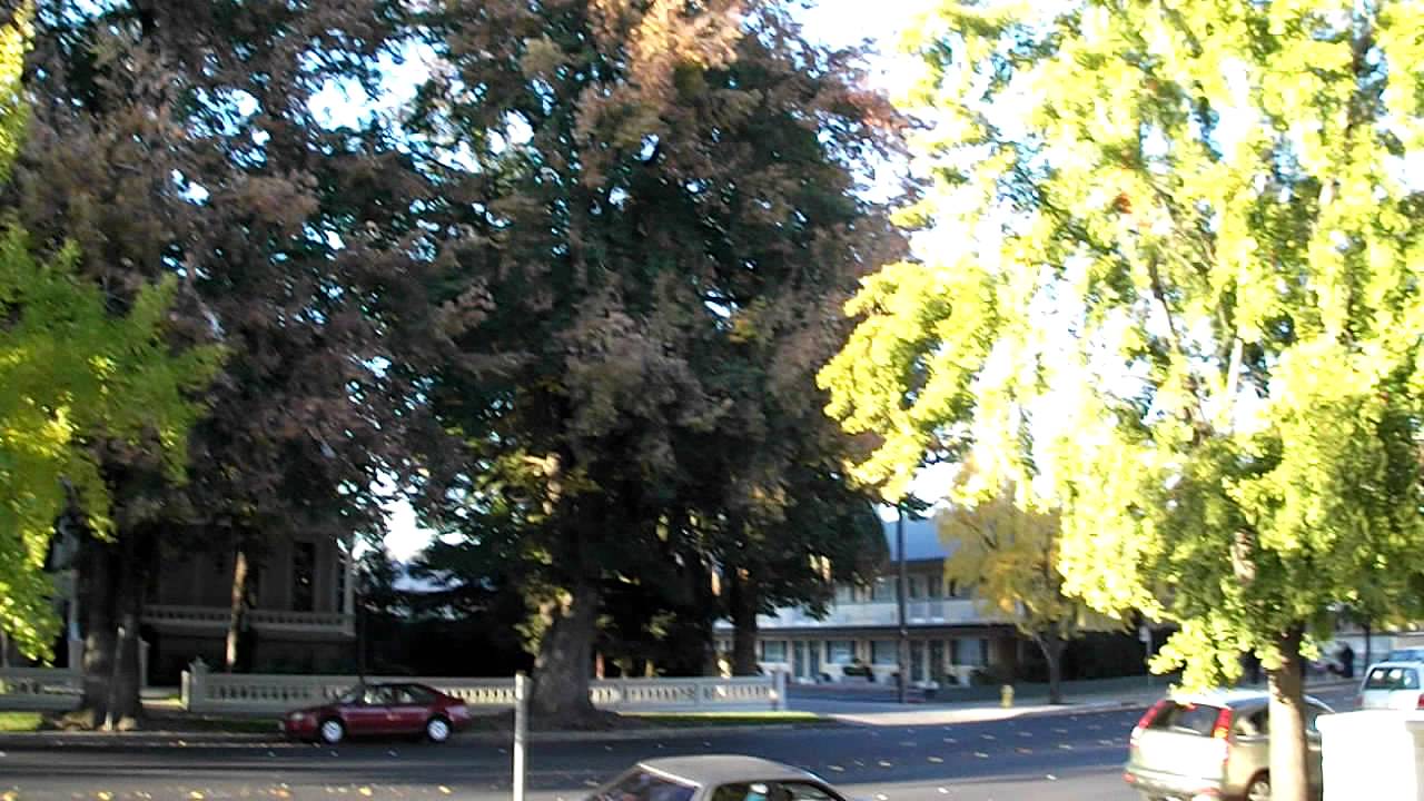 Modesto - Gorgeous Autumn - YouTube