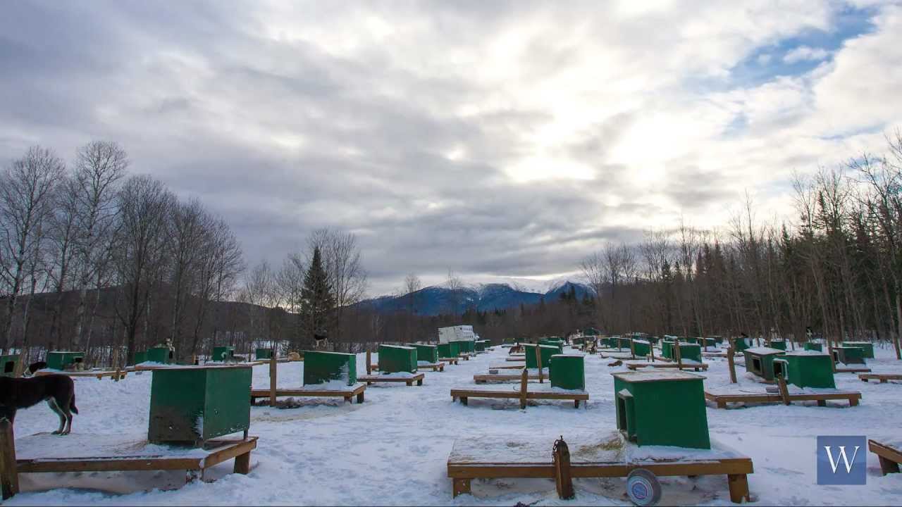Dog Sledding - New Hampshire - YouTube