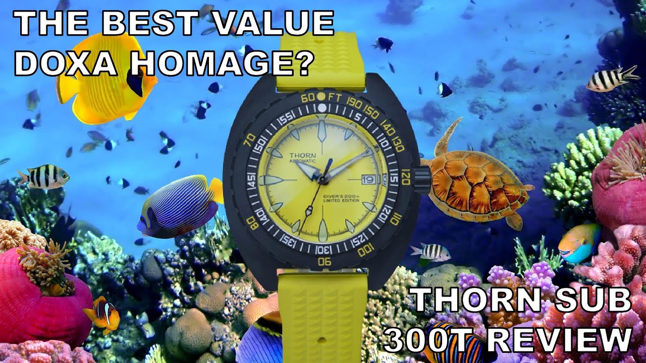 The BEST Value Doxa Homage? - Thorn Sub 300T Review - YouTube