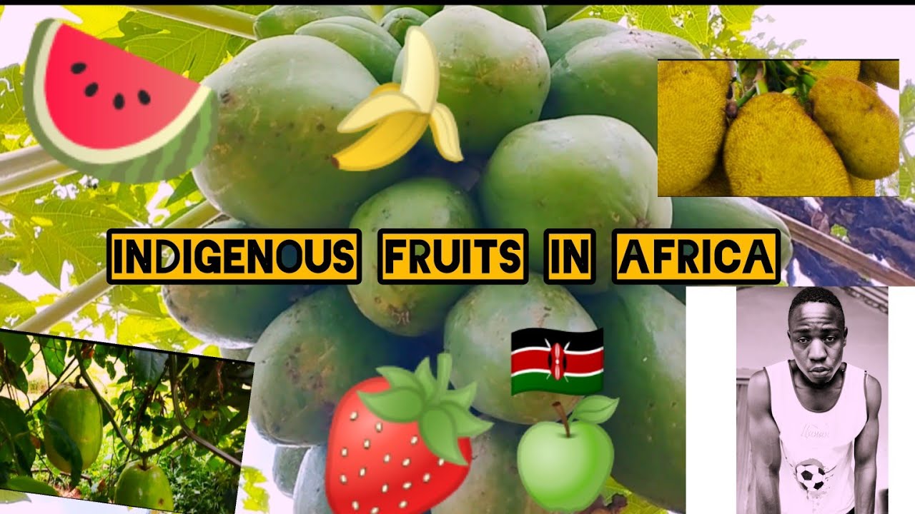 Indigenous Fruits in an African Village For Free 🍉🍒🍓🤫 #villagevlog ...