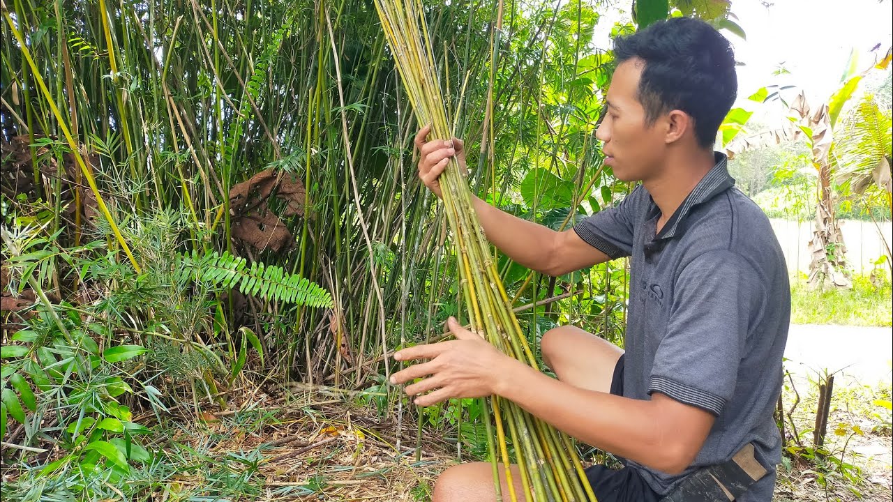 Suku Dayak || Pasang Pancing Tajur di Sungai yang Lagi Banjir - YouTube