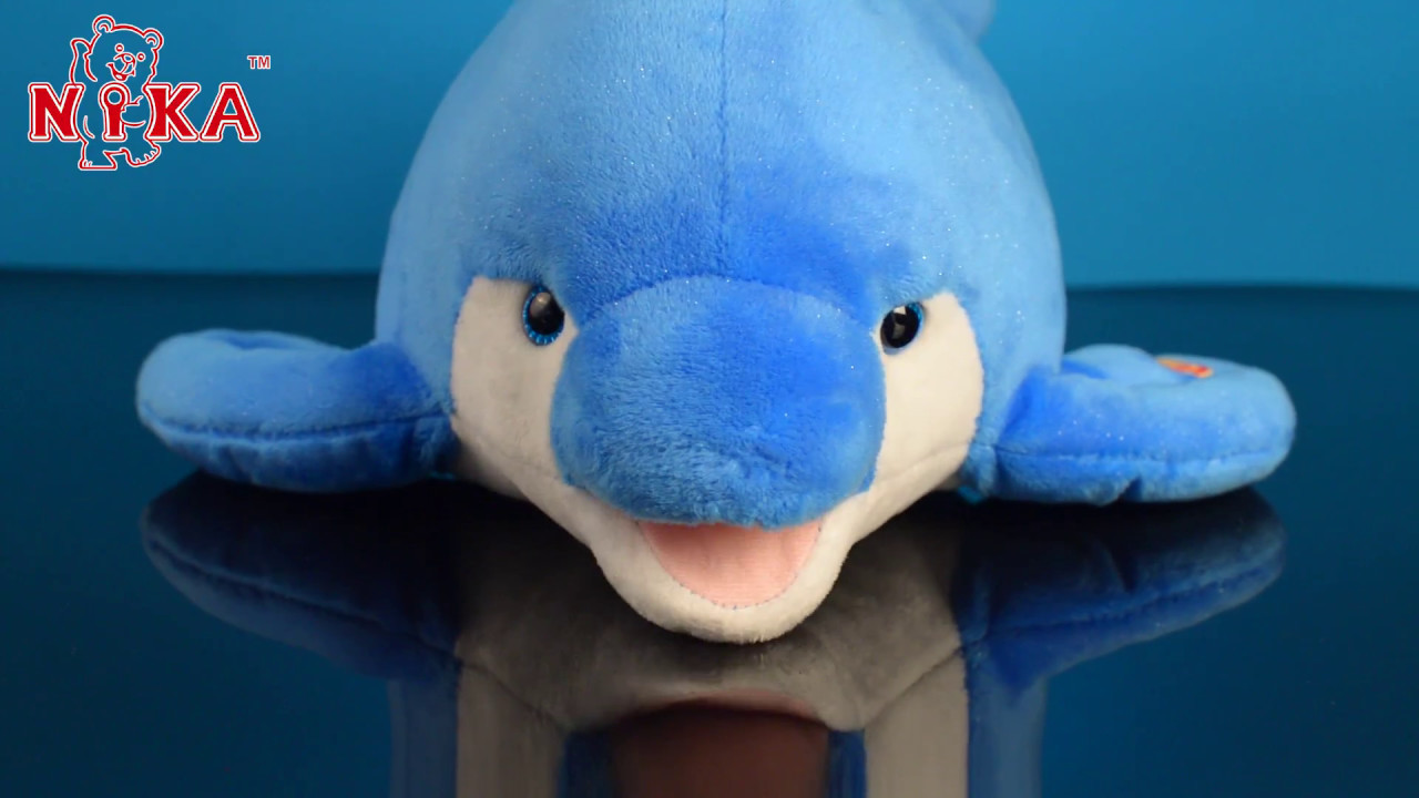 Denny The Dolphin with a new video! - YouTube