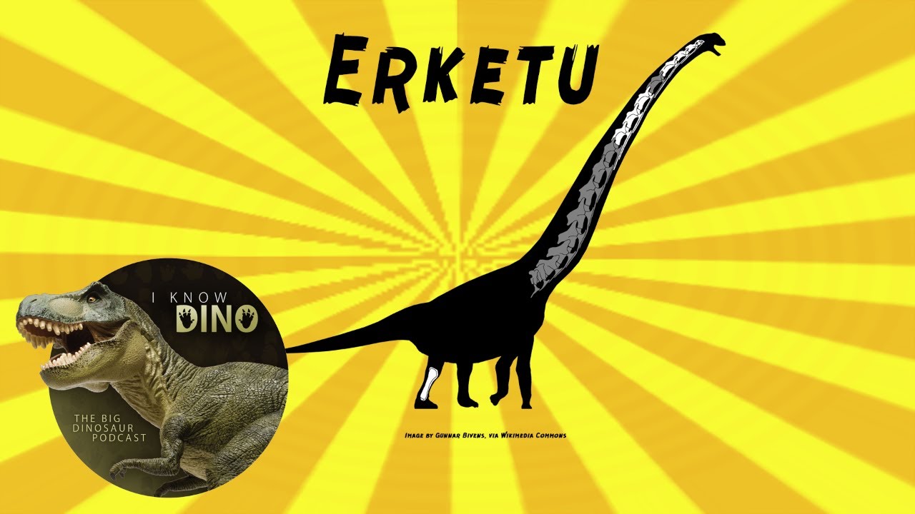 Erketu: Dinosaur of the Day - YouTube
