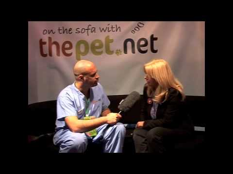 Expert advice for dog owners: microchipping and scanning, vet's responsibilities