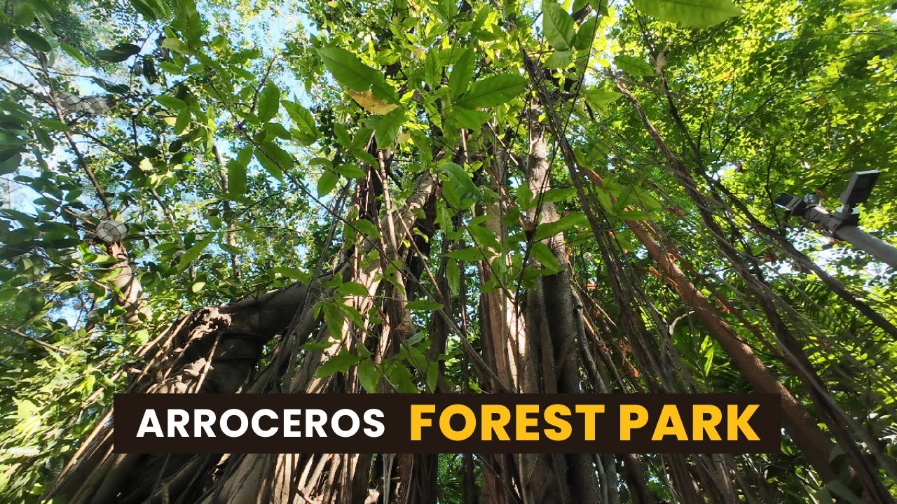 ARROCEROS FOREST PARK | WALANG ENTRANCE FEE - YouTube