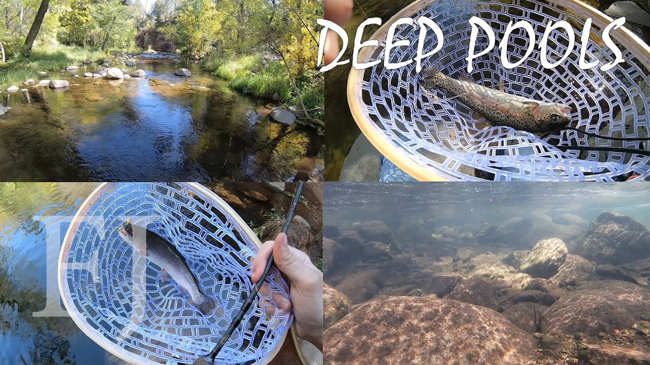 Exploring Sedona, Part 3 of 3 (Deep pools = more fish) - YouTube