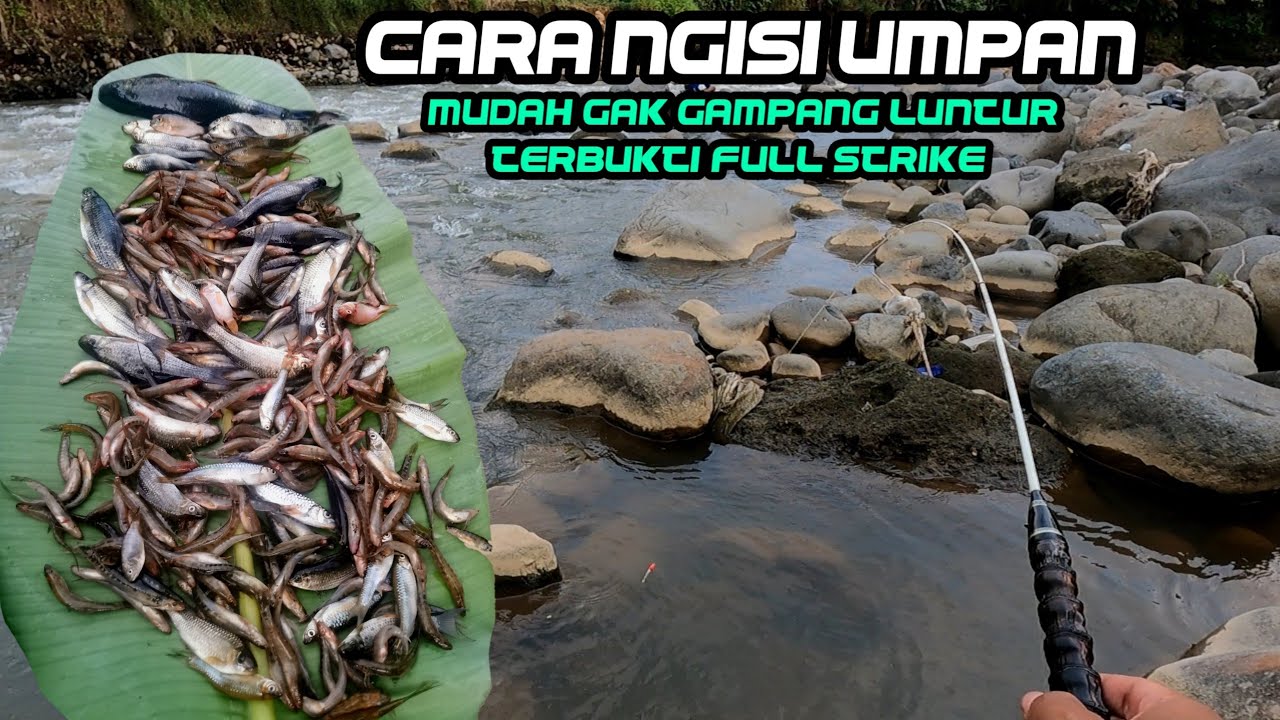 Cara mudah isi umpan utk mancing uceng || Anti luntur di air terbukti ...