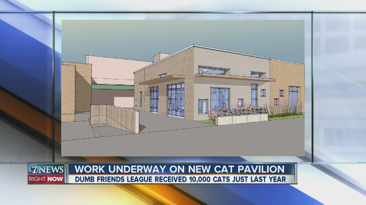 Work underway on new cat pavilion for Dumb Friends League - YouTube