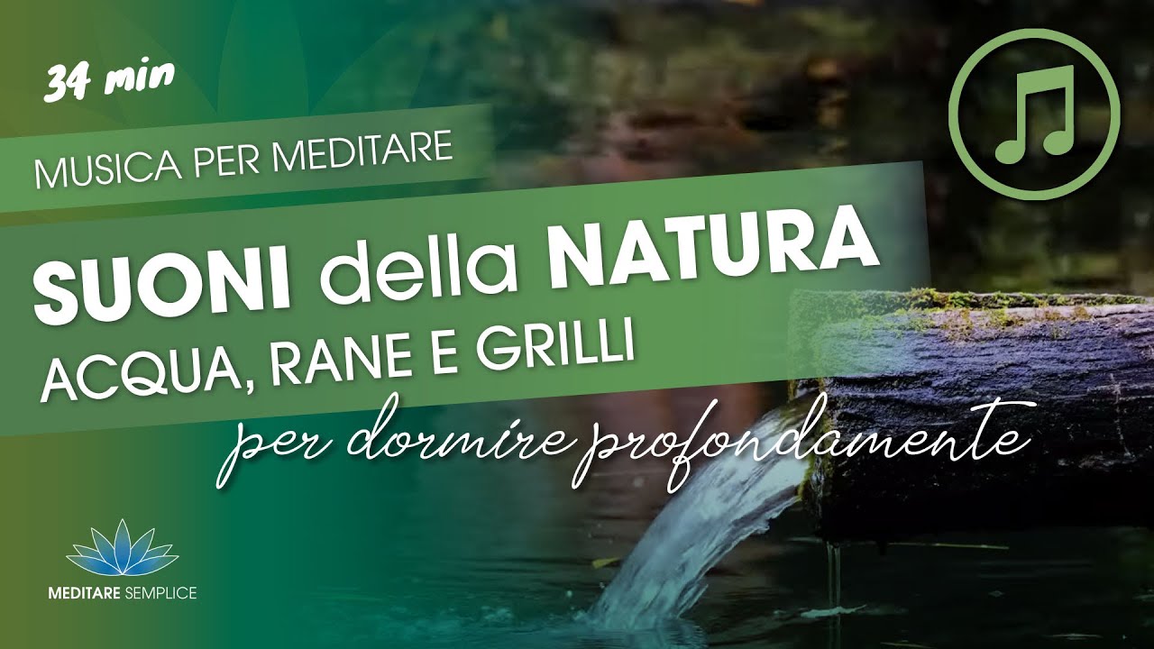 Suono delle rane, acqua, grilli e altri suoni della natura per Meditare ...