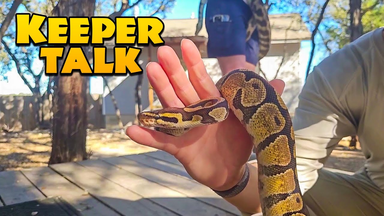 Keeper Talk with Kayla & Lindsay - YouTube