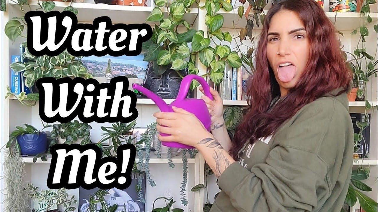 PLANT CHORES! Water & Prune Plants With Me!! 💦🪴 productive days in the ...