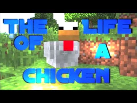 "The Life of a Chicken" (Minecraft) [HD] - YouTube