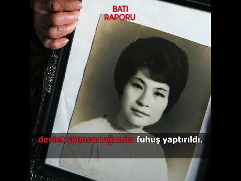 ABD-Güney Kore Maymun evi
