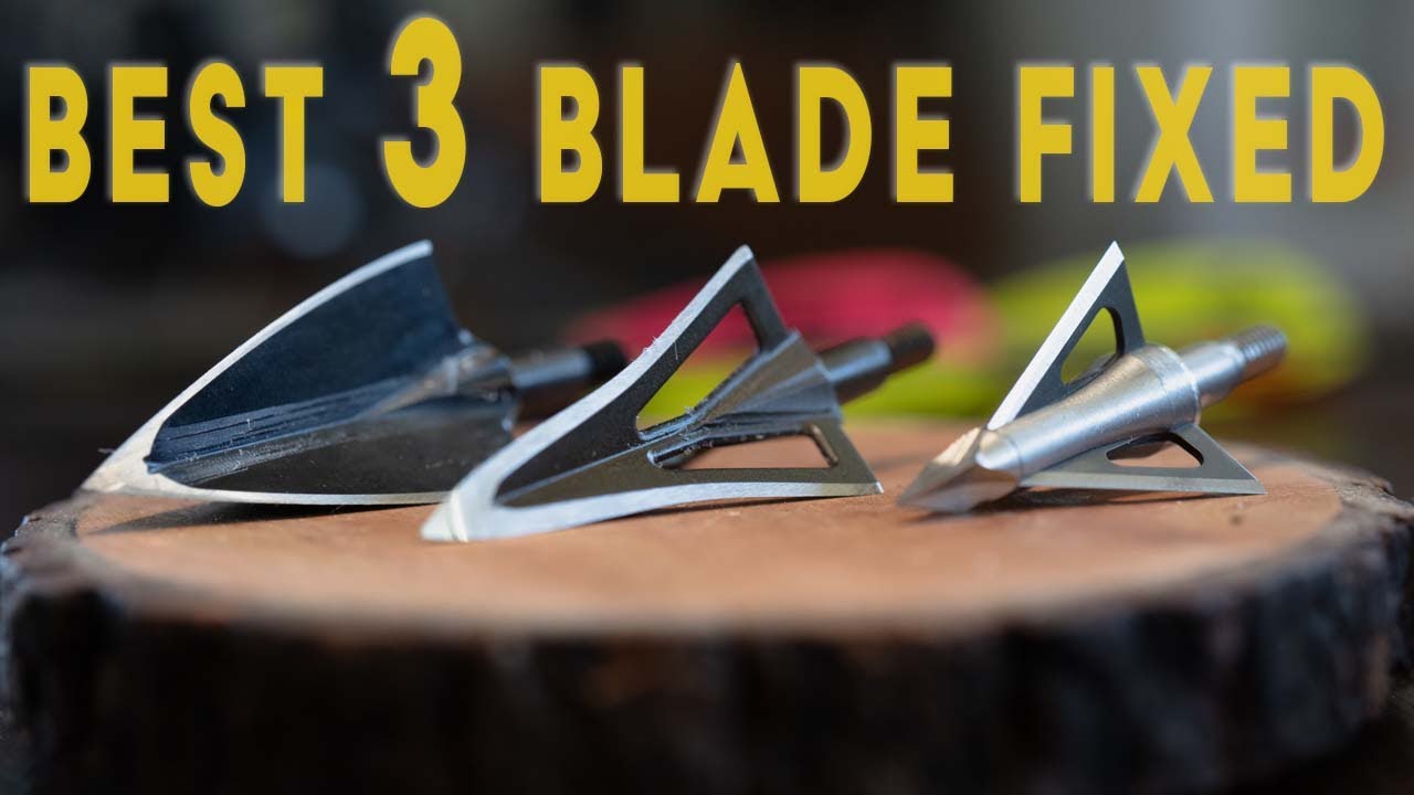 Searching For The Best 3 Blade Fixed Broadhead.. - YouTube
