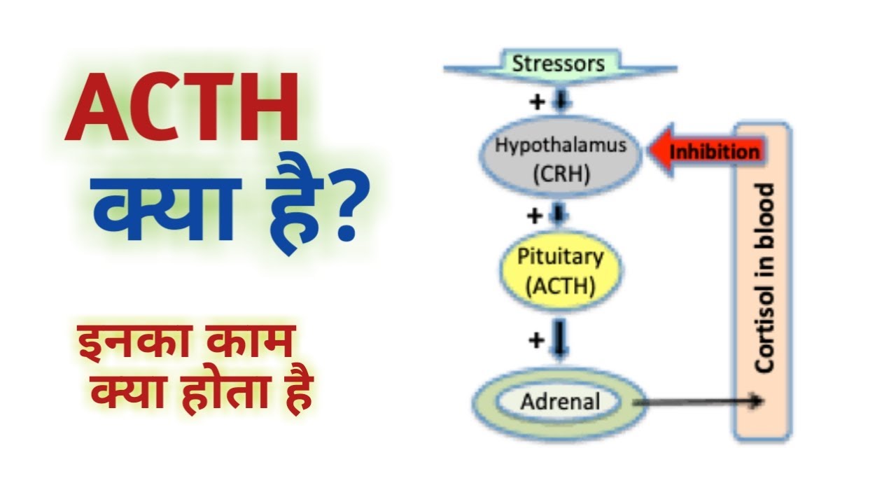 ACTH test | ACTH Test Procedure - YouTube