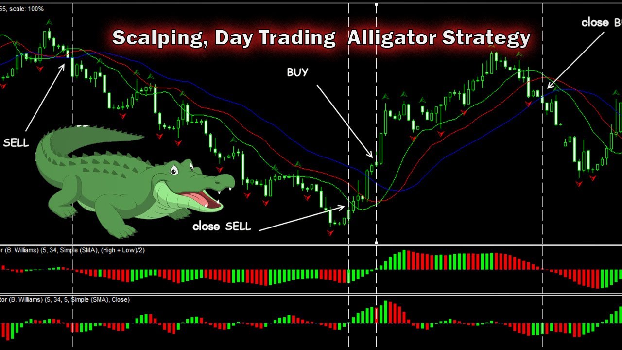Scalping, Day Trading Alligator Strategy & Awesome Oscillator Strategy ...
