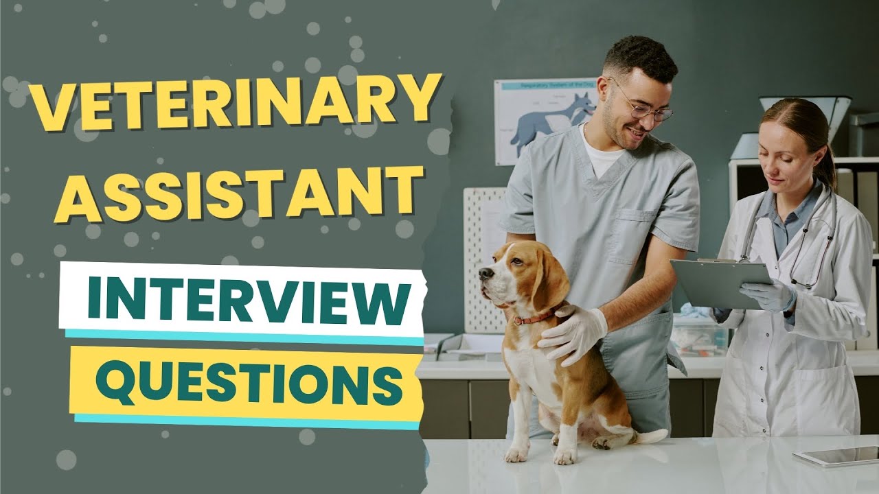 Veterinary Assistant Interview Questions (with answers & tips) - YouTube