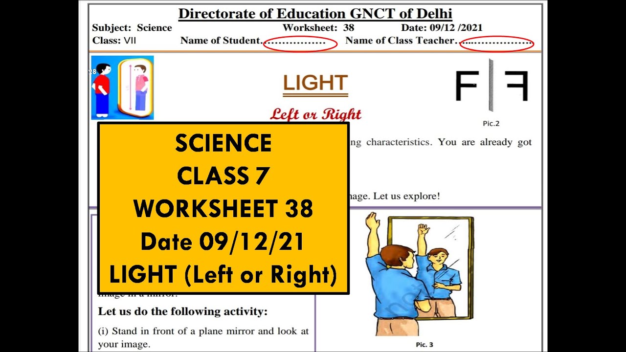 science worksheet 38 class 7th | 9/12/21 | science class 7 worksheet 38 ...
