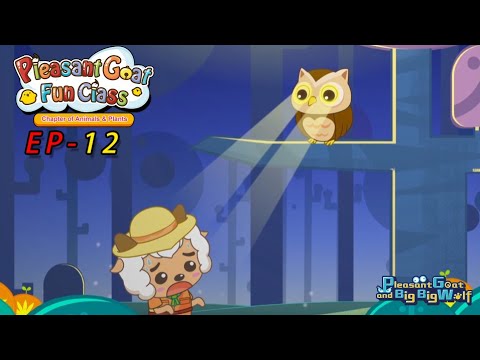 Meet the Mysterious Owl | EP 12| Pleasant Goat Fun Class|educational ...
