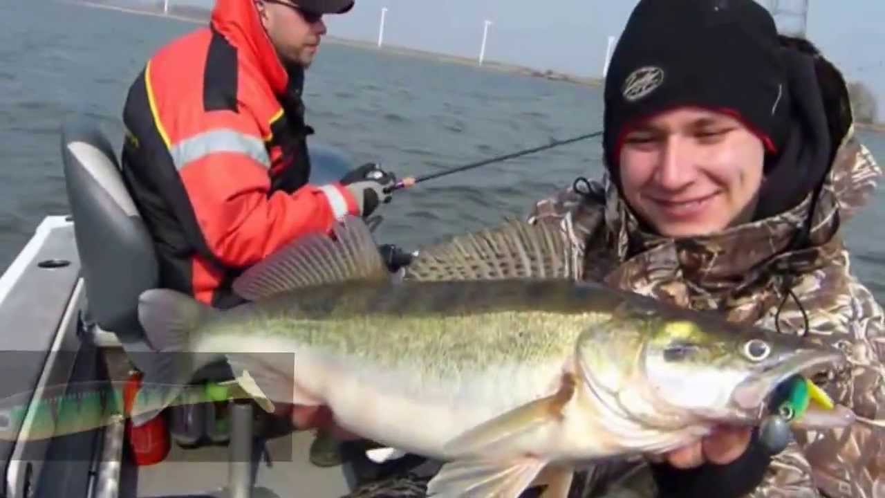 Jackson Active Shad - YouTube