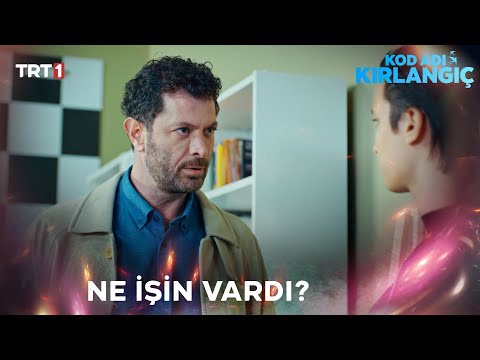 Ne işin vardı Hakan'ın yanında? - Kod Adı Kırlangıç 70.Bölüm