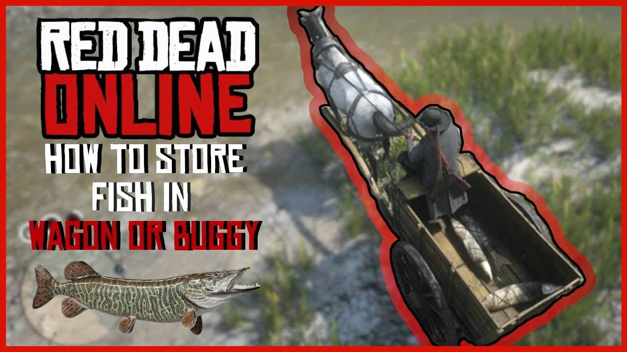 Red Dead Online Beta: How to Store Large Fish in Wagon or Buggy and ...