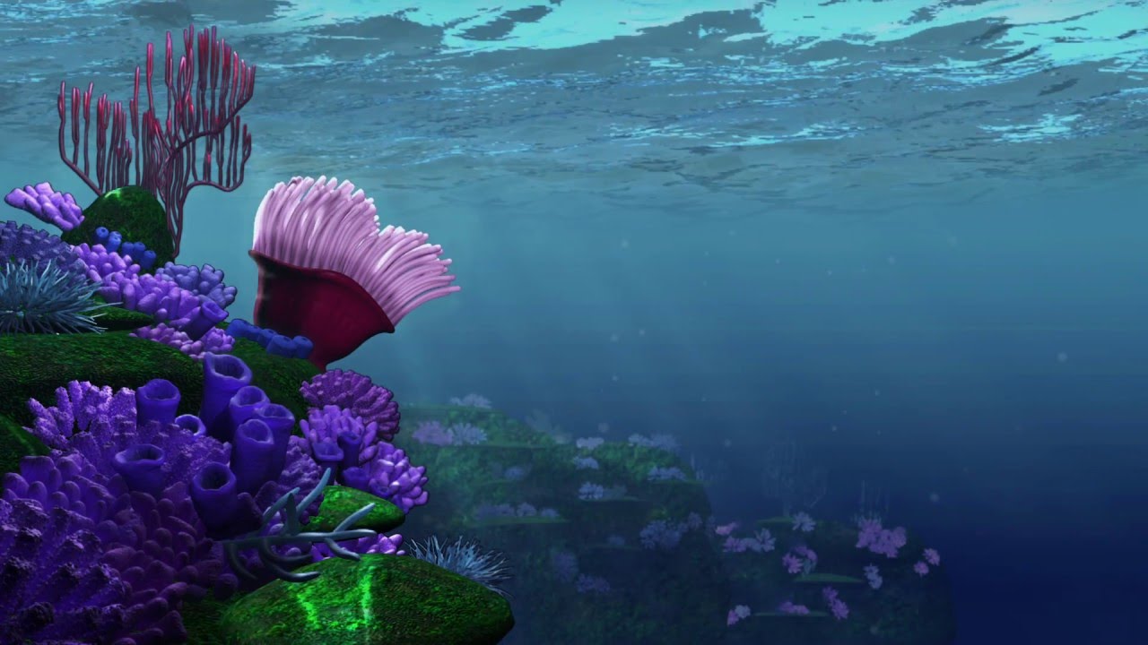 Finding Nemo Opening Scene Recreation - YouTube