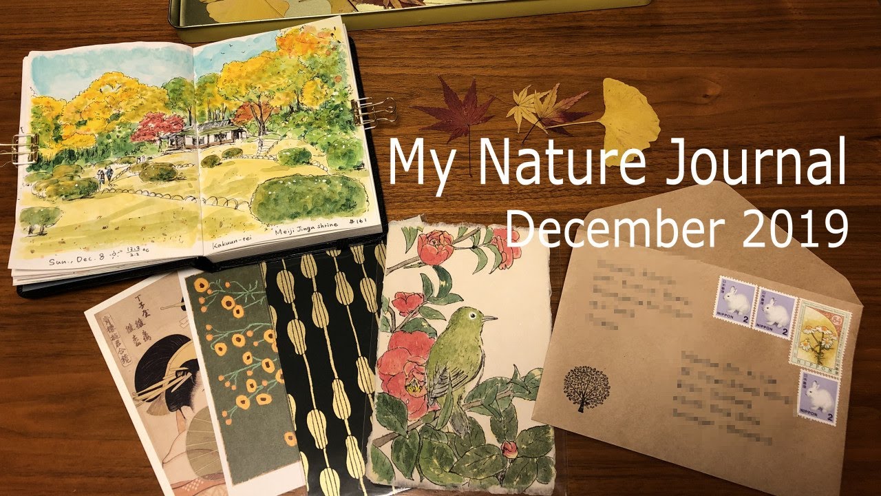【Art, Nature, and Life】My Nature Journal December 2019 - YouTube