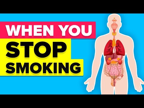 Discover The Shocking Changes That Happens When You Stop Smoking !  / MRBScience
