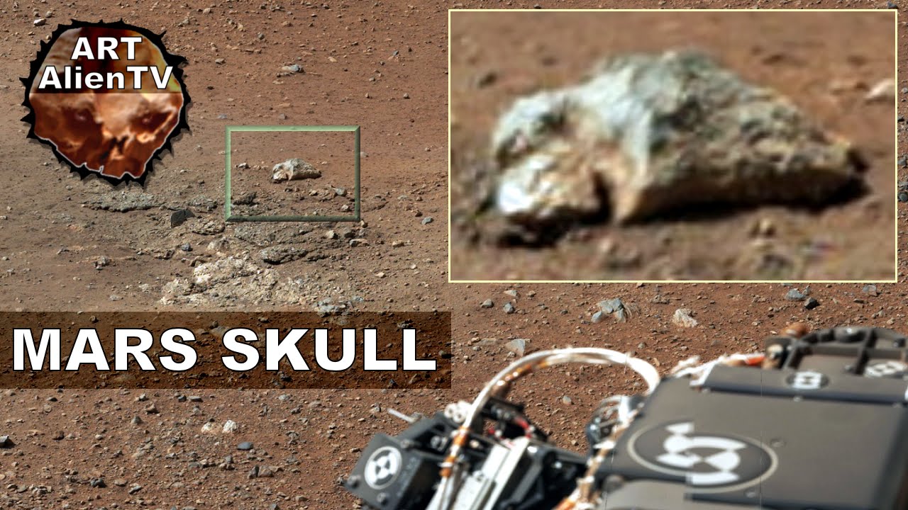 MARS ANIMAL UNCOVERED by CURIOSITY BLAST RADIUS. ArtAlienTV - YouTube